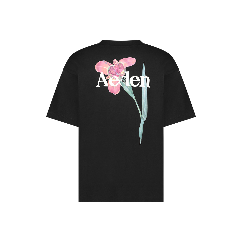 Aeden Official | Born on Fire, Found in Paradise – aedenofficial